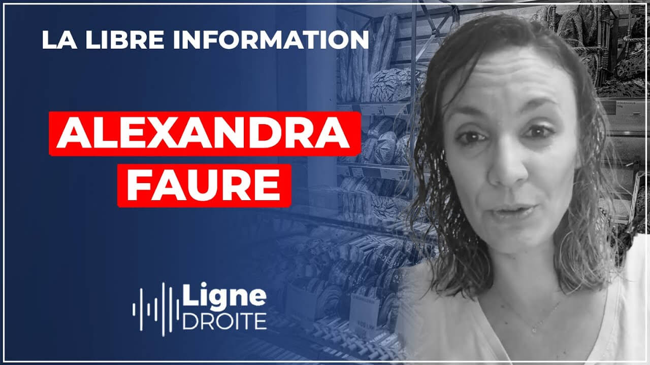 La mort programmée des artisans et des commerçants - Alexandra Faure ...
